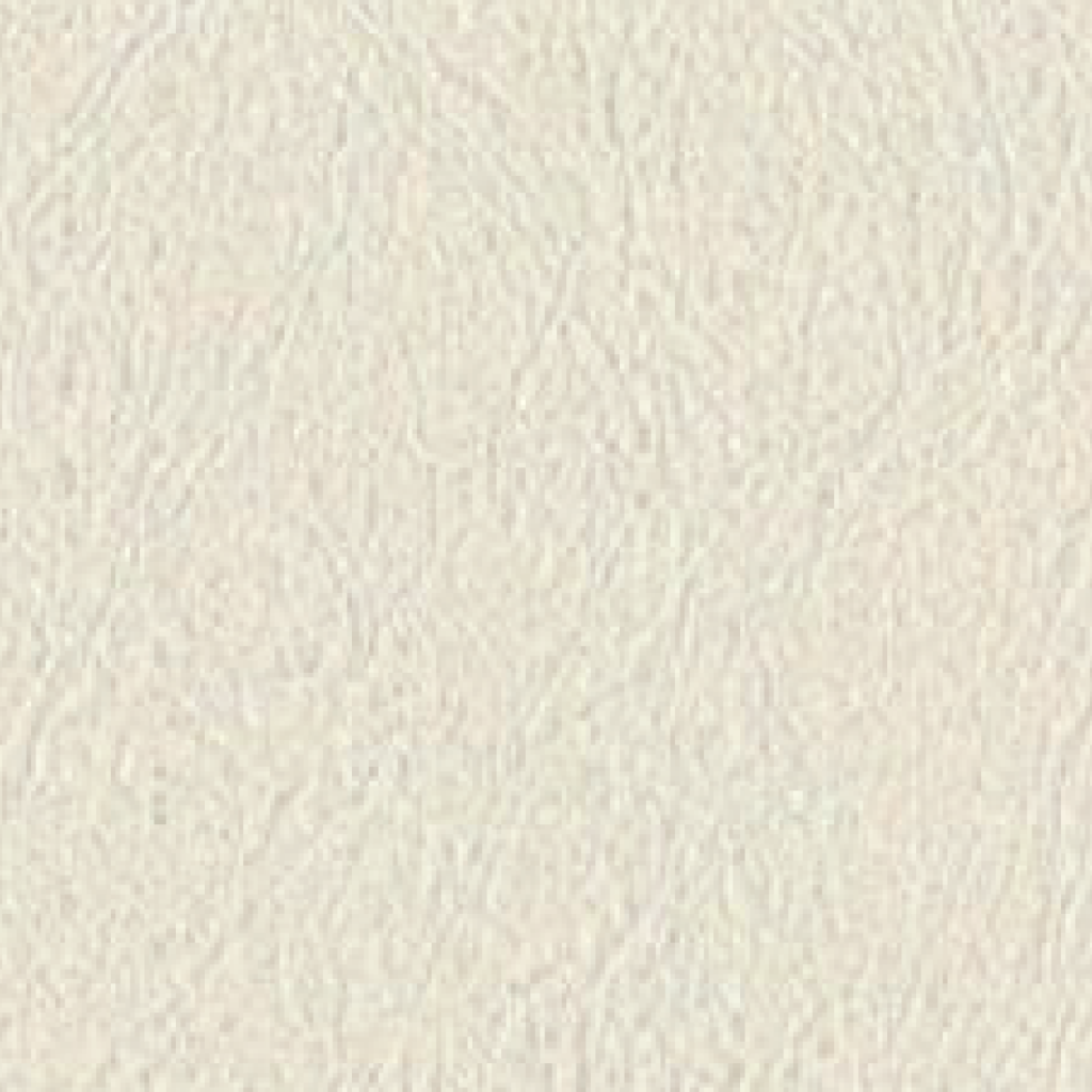 Leather Feeling Series – The Future Wall